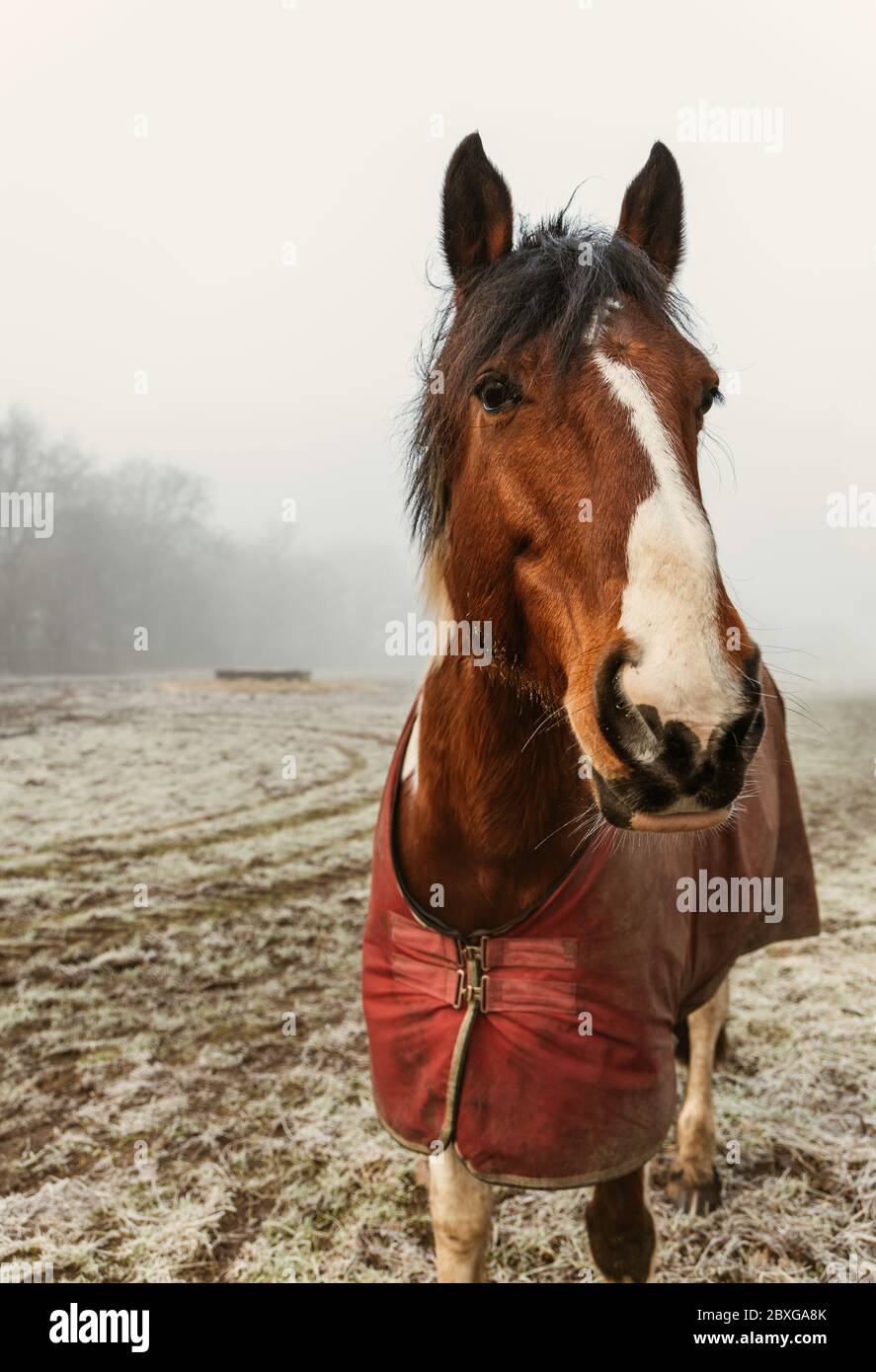 Swallowfield hi-res stock photography and images - Alamy