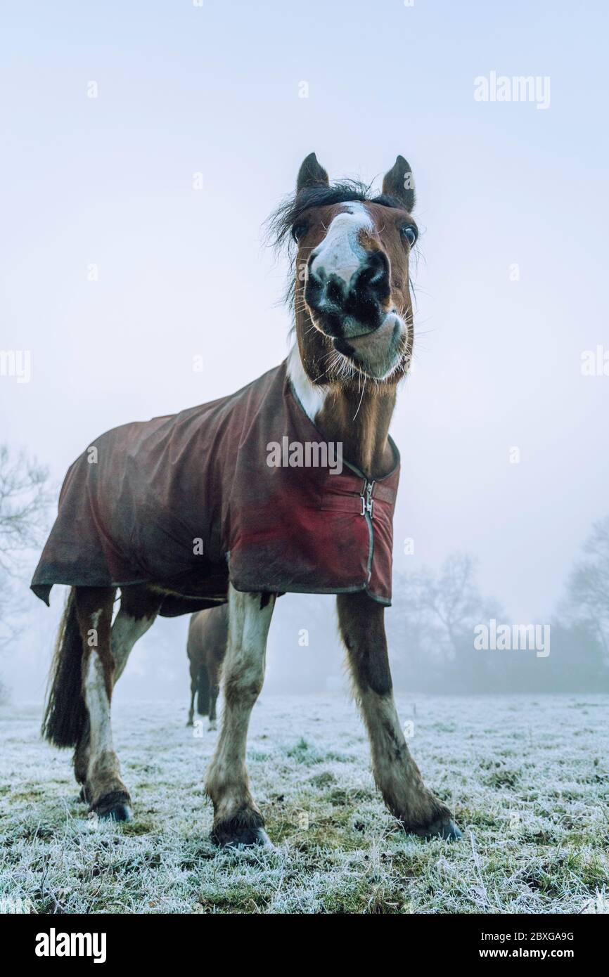 Swallowfield hi-res stock photography and images - Alamy