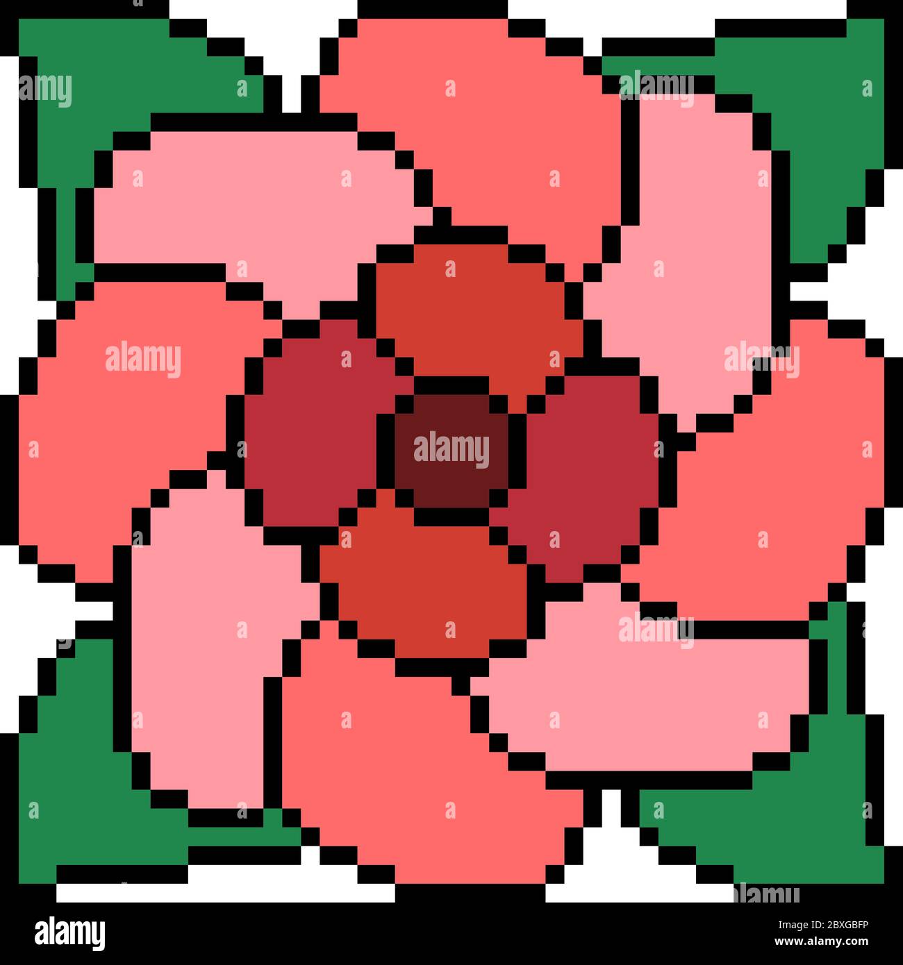 Front rose Stock Vector Images - Alamy