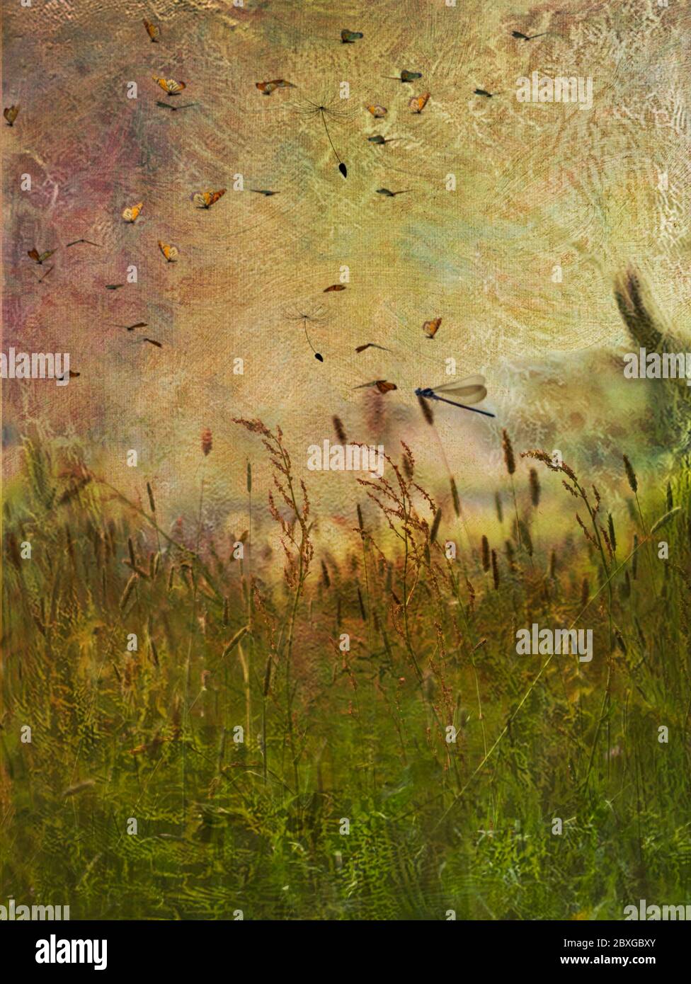 Insects in flight Stock Photo - Alamy