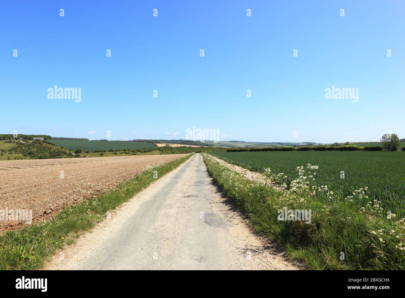 Quiet country road through the scenic farmland of the Yorkshire wolds ...