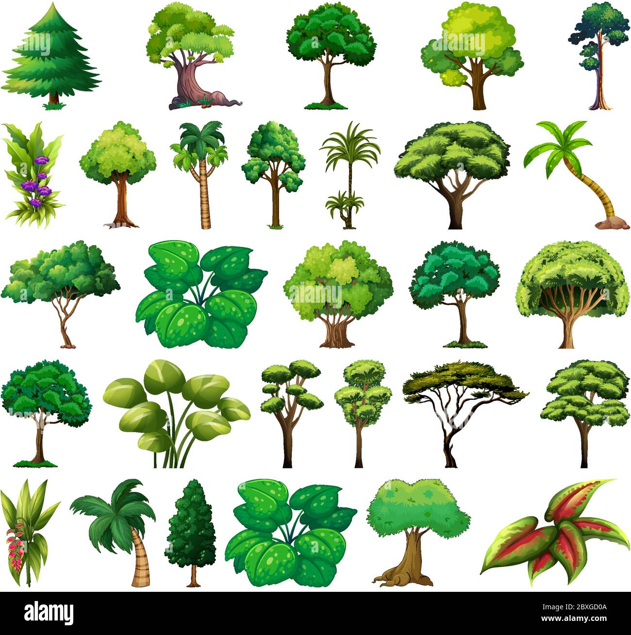 Set of variety plants and trees illustration Stock Vector Image & Art ...