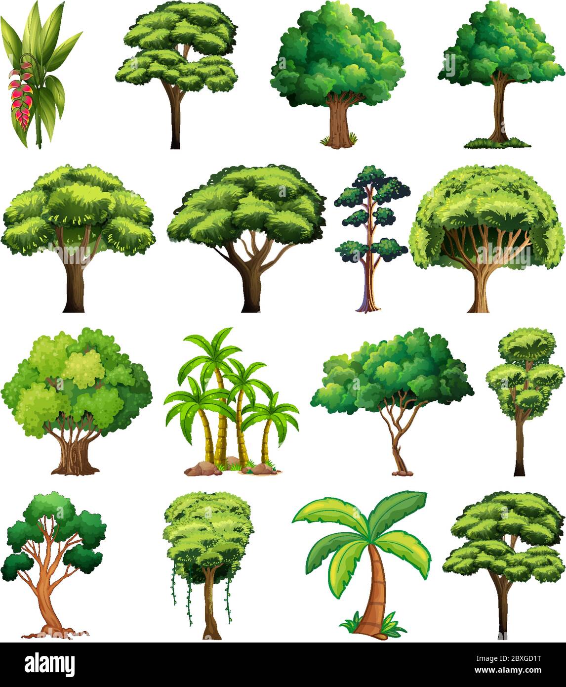 Set of variety plants and trees illustration Stock Vector Image & Art ...