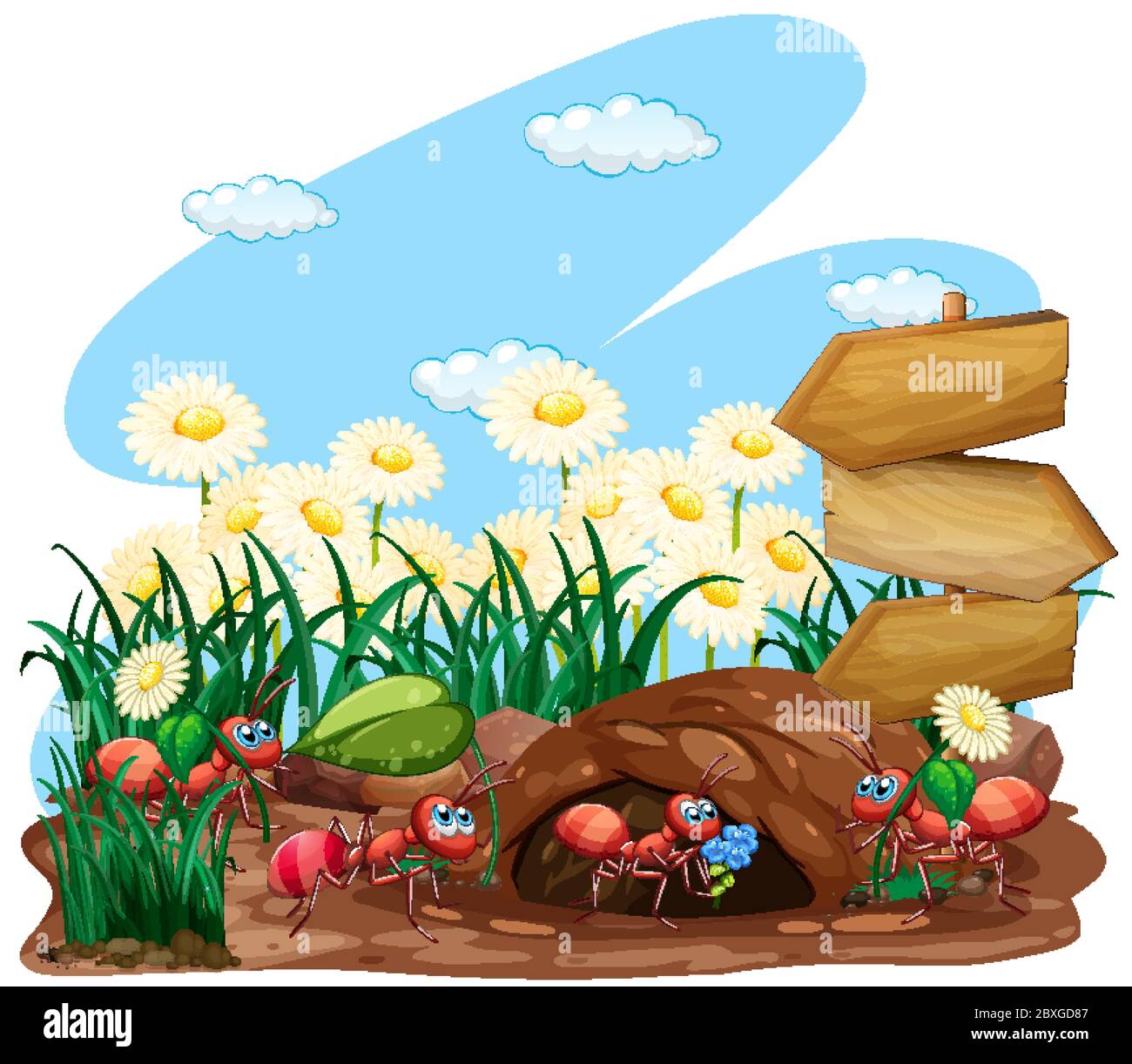 Pretty garden insects Cut Out Stock Images & Pictures - Alamy