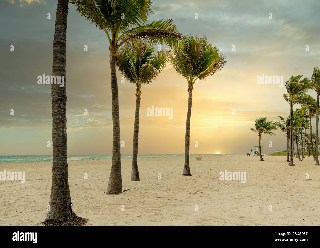 Beautiful sunset beach trees hi-res stock photography and images - Alamy