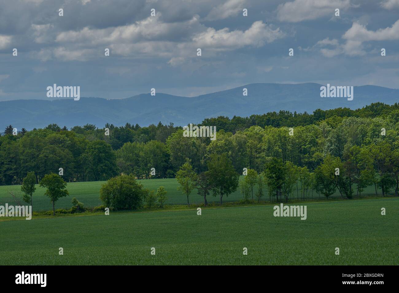Cloudy June skies over Green fields farmland in June Lower Silesia ...