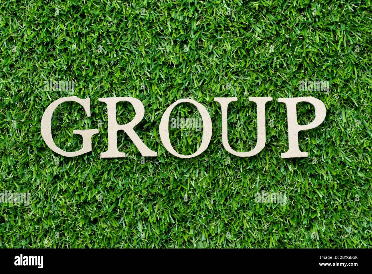 Wood alphabet letter in word group on green grass background Stock ...