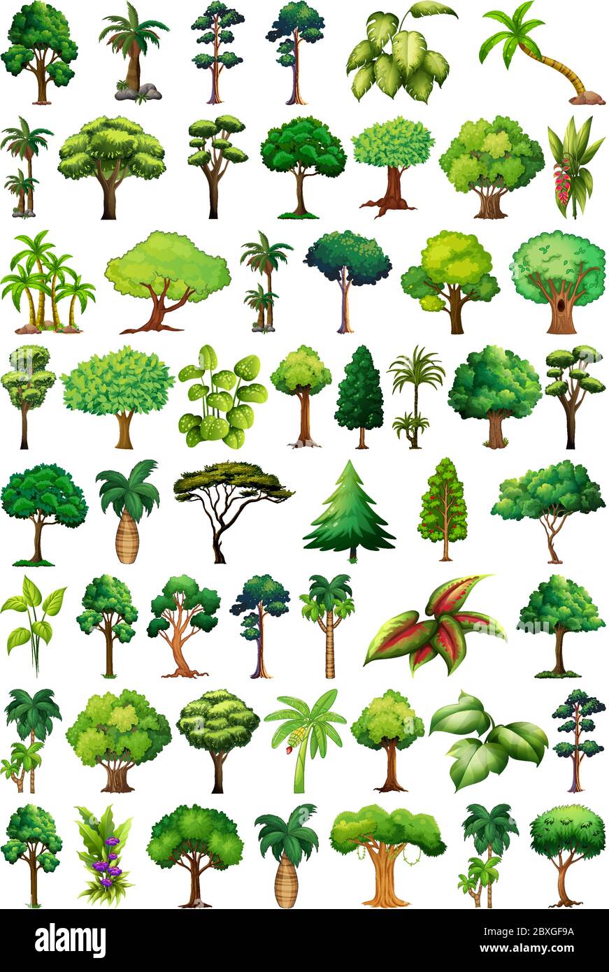 Set of variety plants and trees illustration Stock Vector Image & Art ...