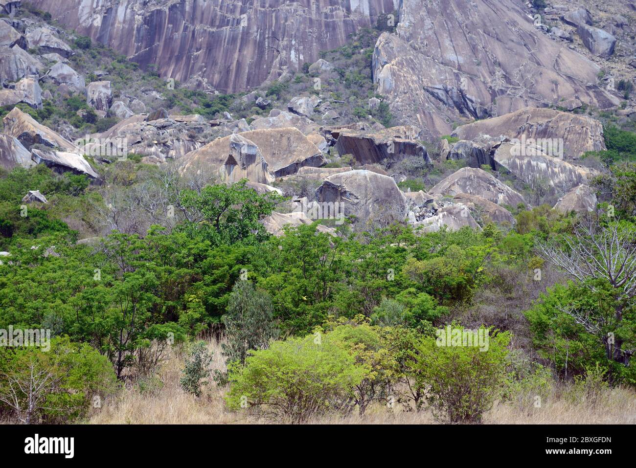 Anja Park is an important community reserve in southern Madagascar. It ...