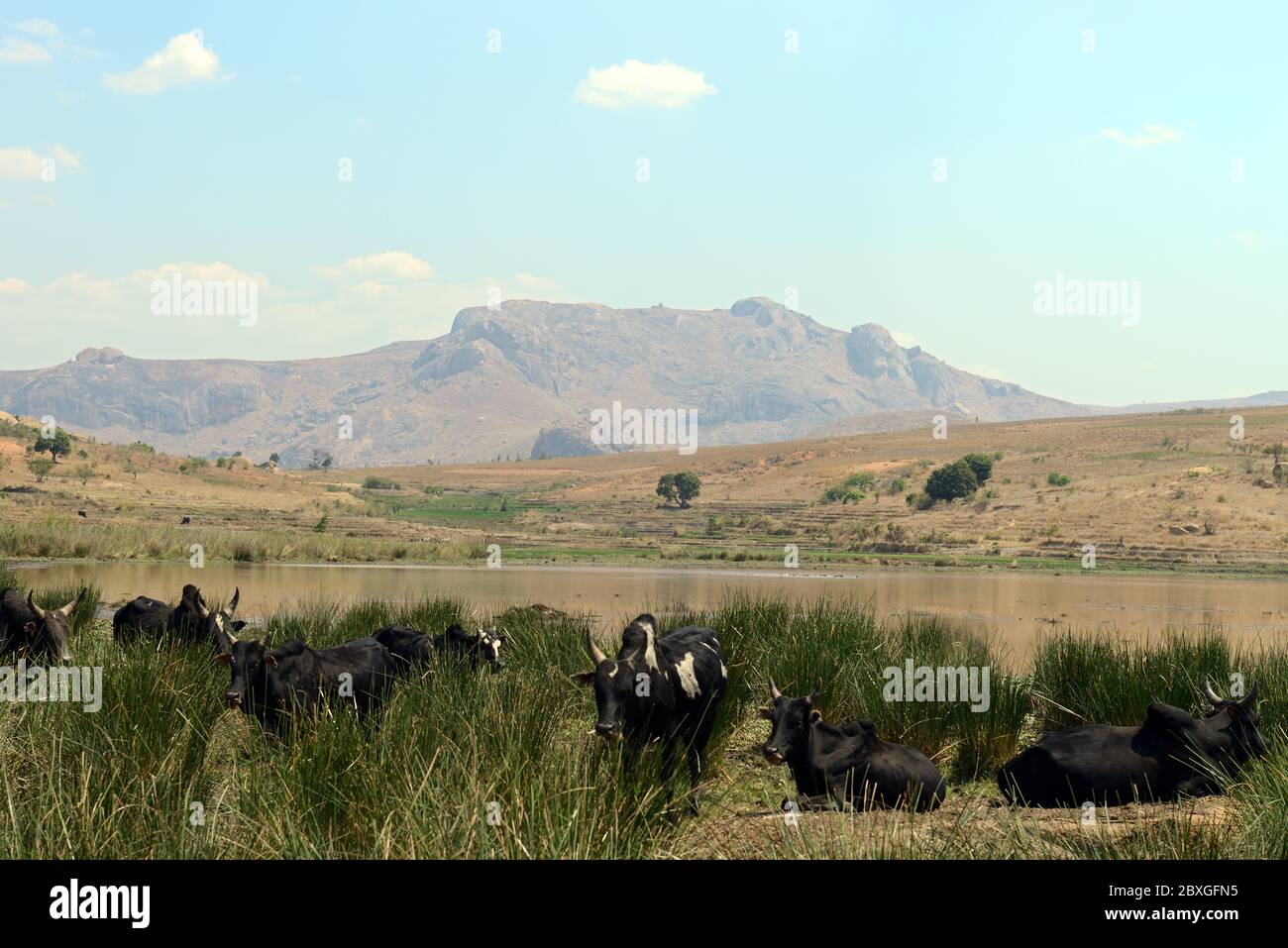 Anja Park is an important community reserve in southern Madagascar. It ...