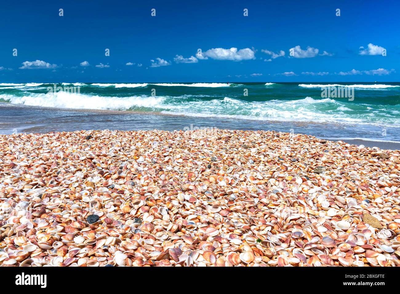 The coast of the Mediterranean Sea covered with multi-colored sea ...