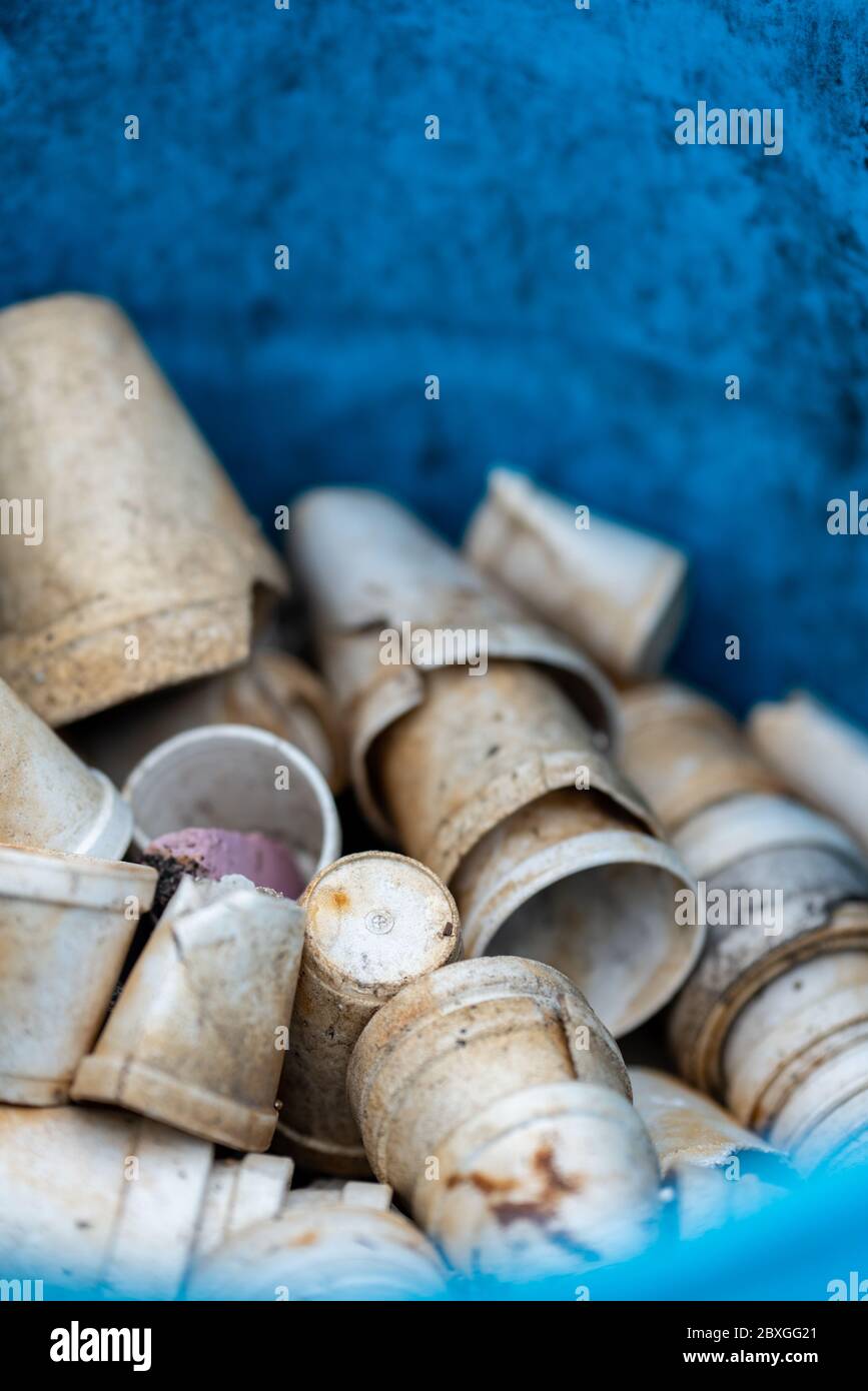Non biodegradable styrofoam cups in a trash can Stock Photo - Alamy