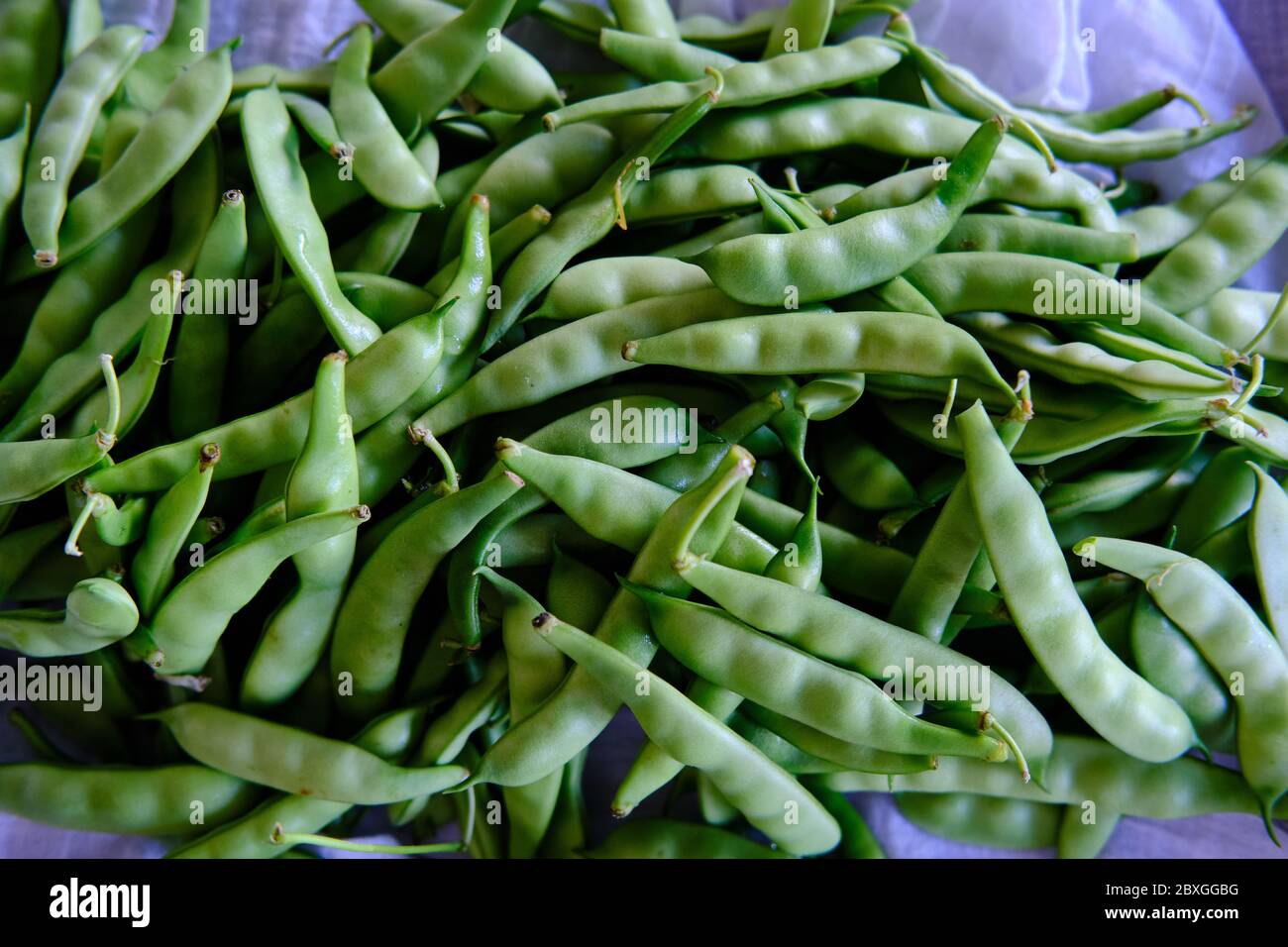 Pile of Green Beans Stock Photo - Alamy