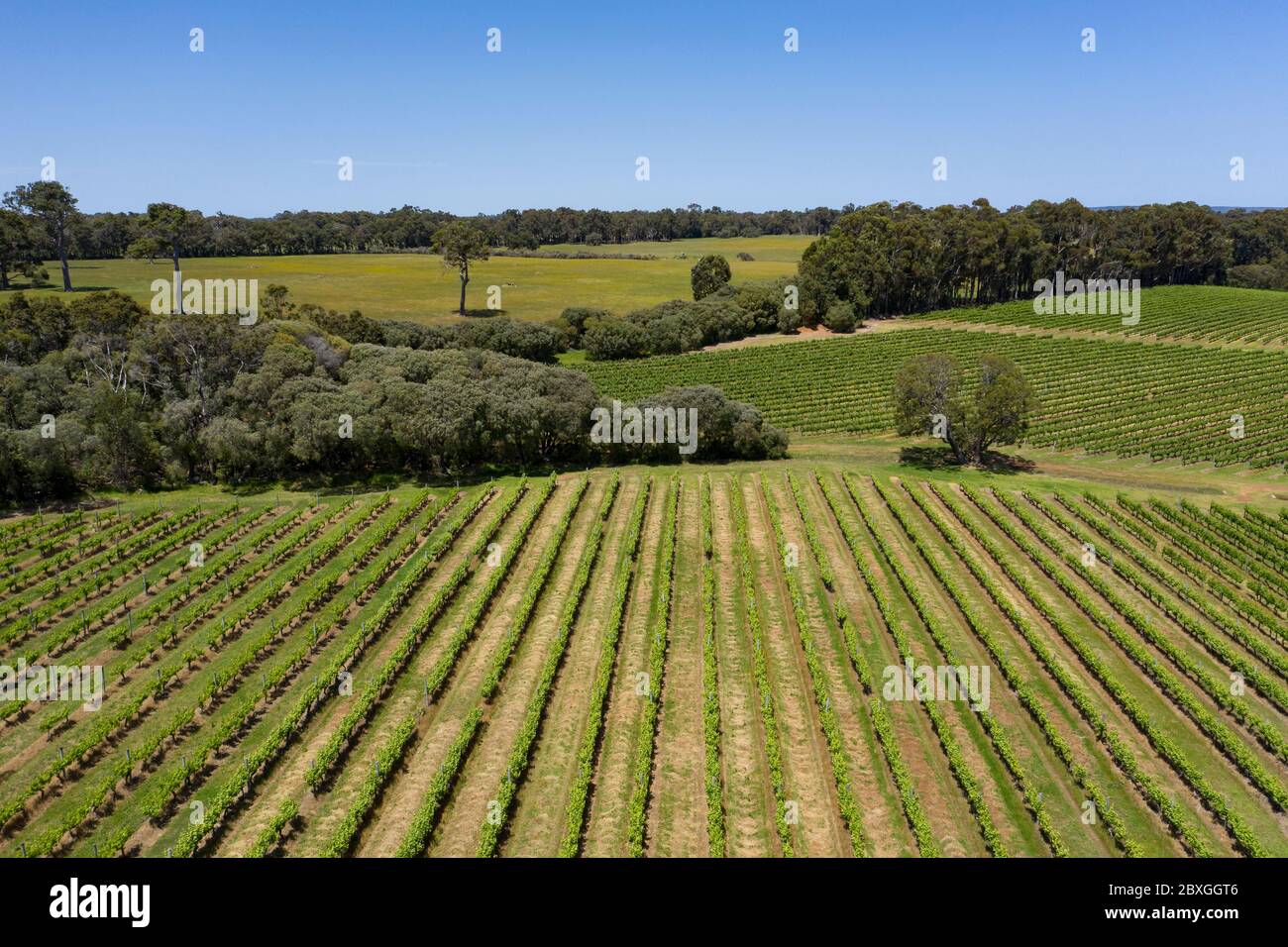 Aerial view of a typical vineyard in the Margaret River region of ...