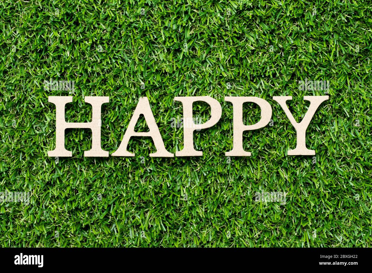 Wood alphabet letter in word happy on green grass background Stock ...