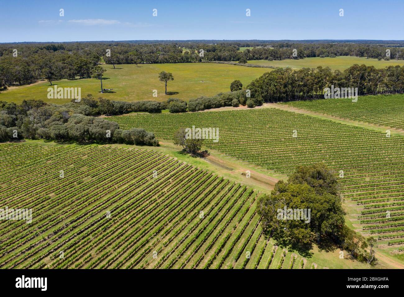 Margaret field hi-res stock photography and images - Alamy