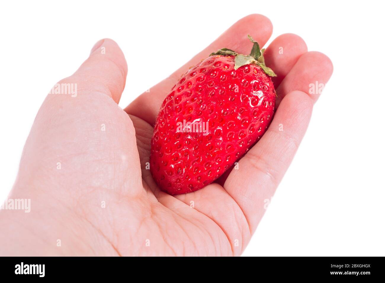 Hand with fresh strawberries on white background Stock Photo - Alamy