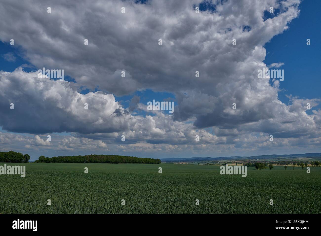Cloudy June skies over Green fields farmland in June Lower Silesia ...