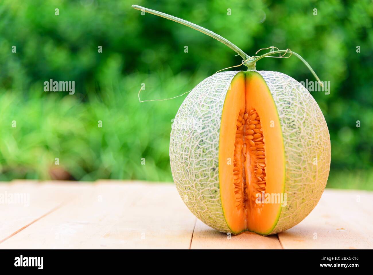 Melon glasshouse hi-res stock photography and images - Alamy