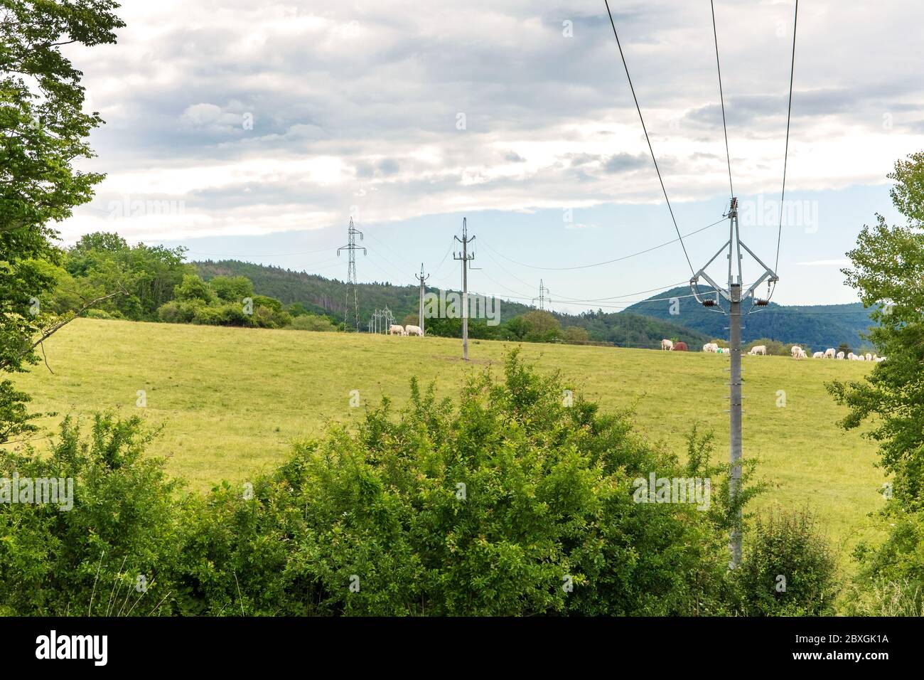Power lines in the countryside against blue sky in summer day. The ...