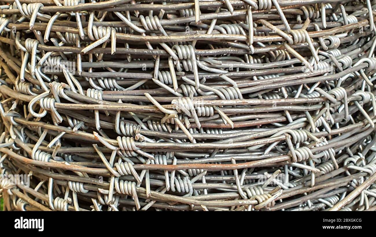 Barbed wire is sold in a store. Suitable for fencing areas, for fences ...
