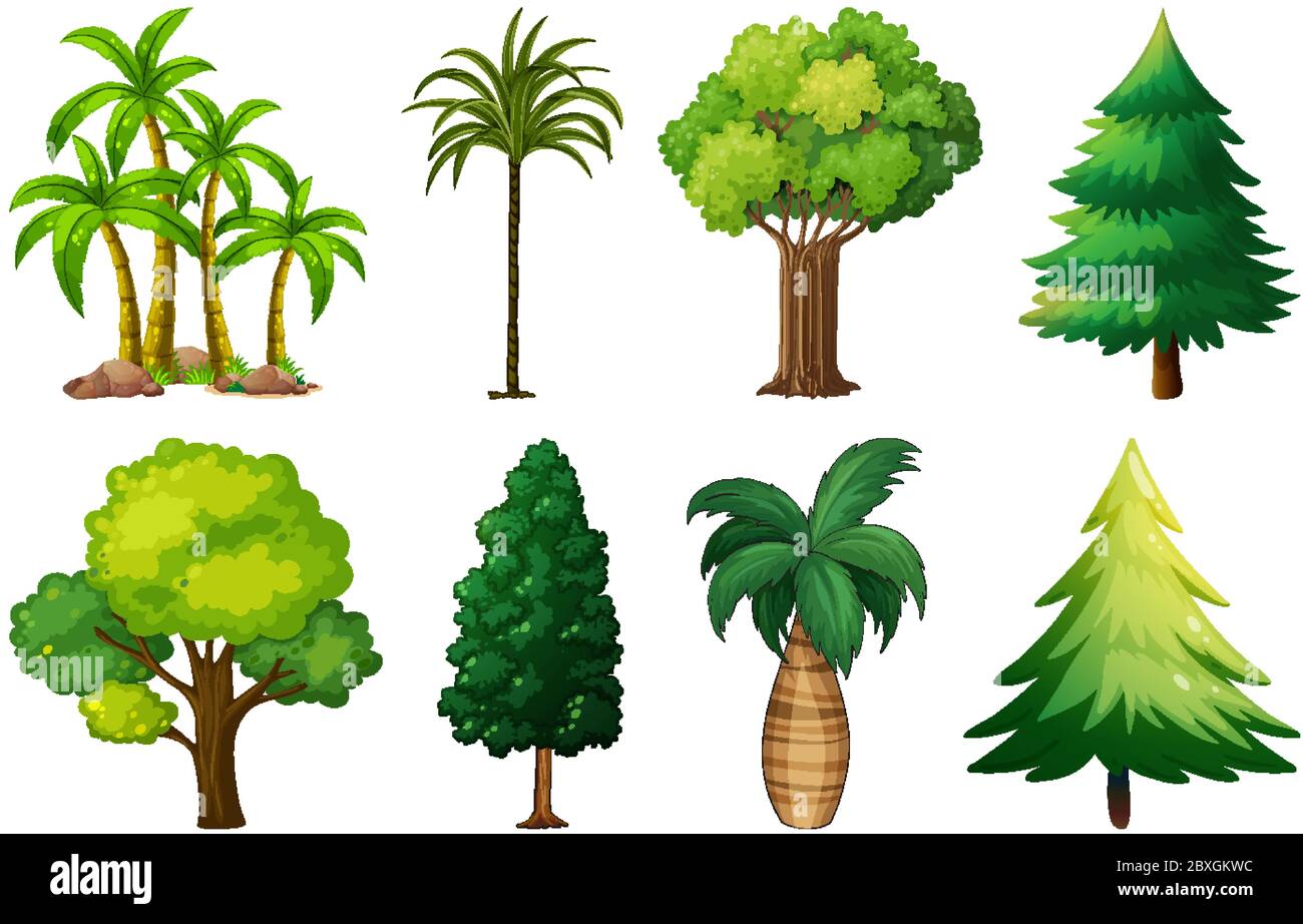 Set of variety plants and trees illustration Stock Vector Image & Art ...
