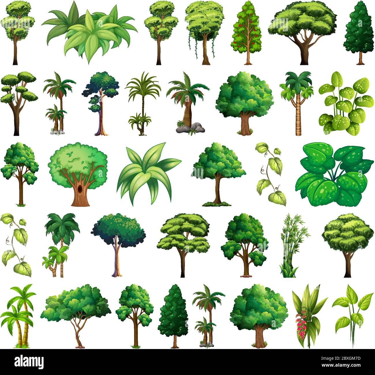 Set of variety plants and trees illustration Stock Vector Image & Art ...