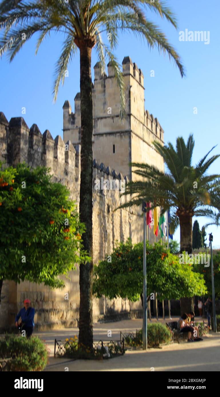 The Alcazar de los Reyes Cristianos (The Royal Place of the Christian ...