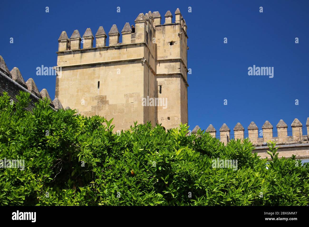 The Alcazar de los Reyes Cristianos (The Royal Place of the Christian ...