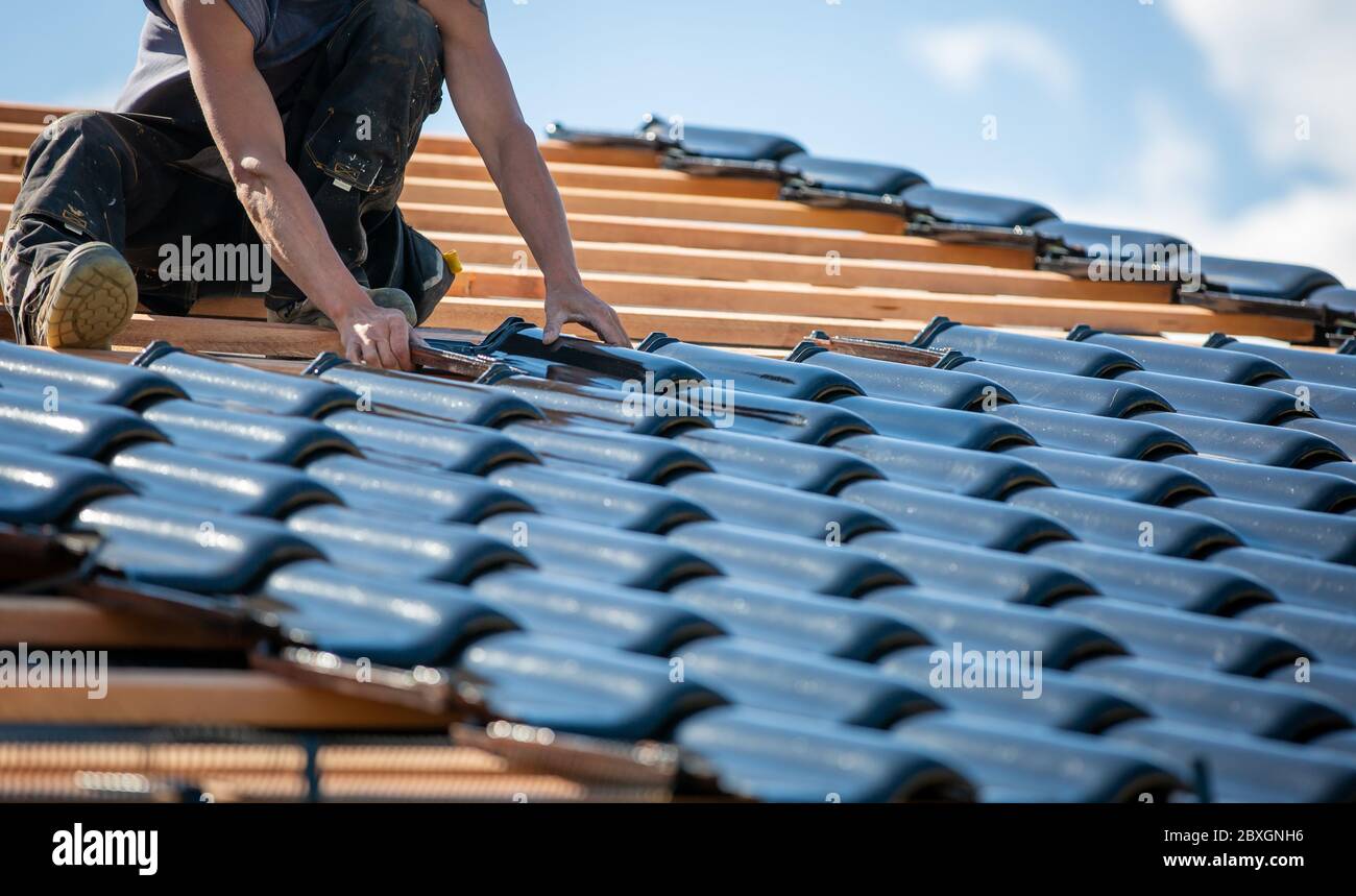 Professional house builder laying roofing or new roof for new building ...