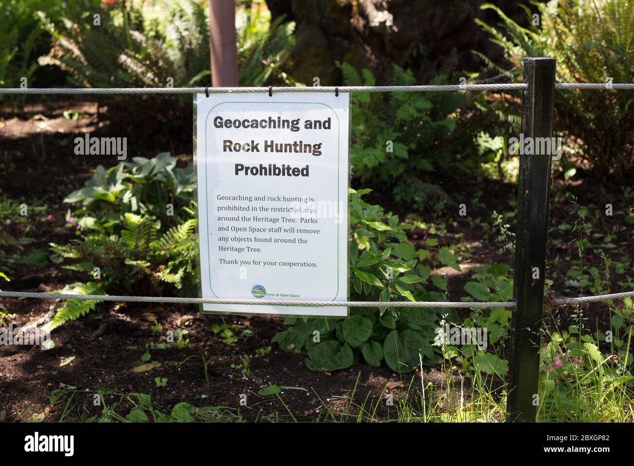 A sign prohibiting geocaching and rock hunting, at Owen Rose Garden in ...
