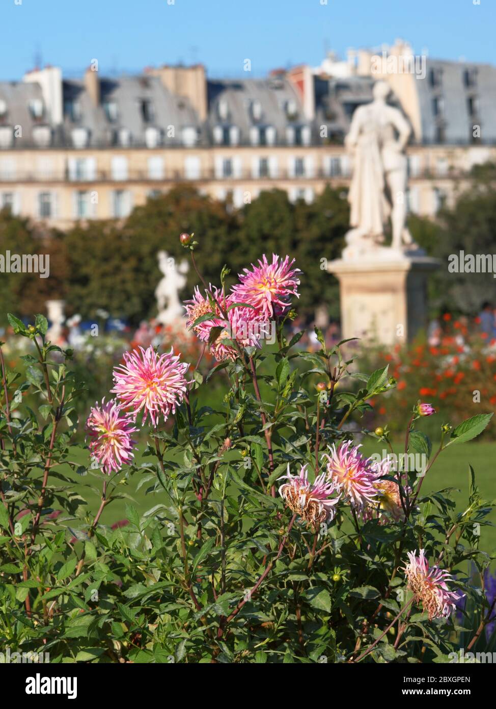 Against bush paris france hi-res stock photography and images - Alamy