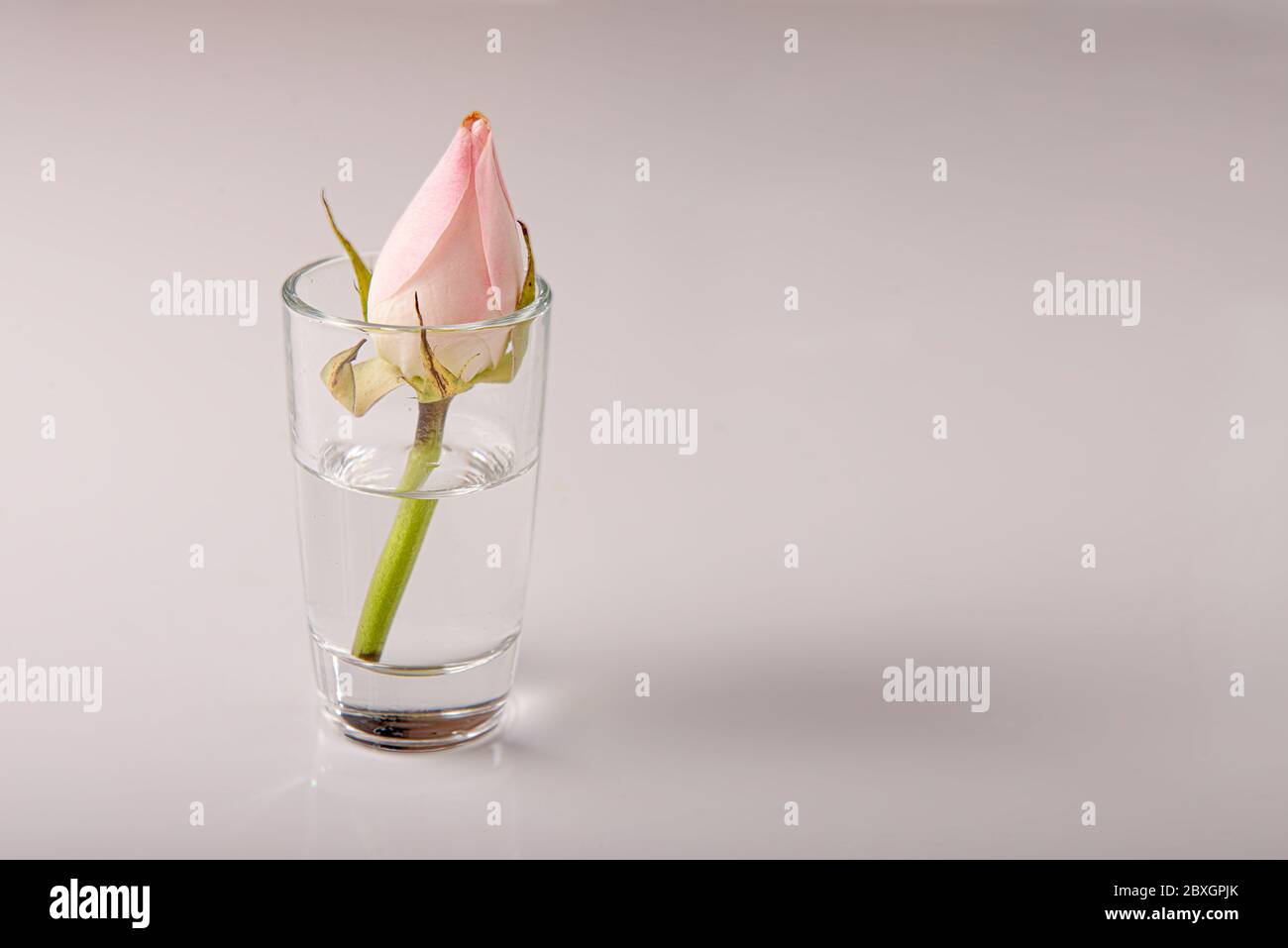 The small rose in transparent glass stack with water Stock Photo - Alamy