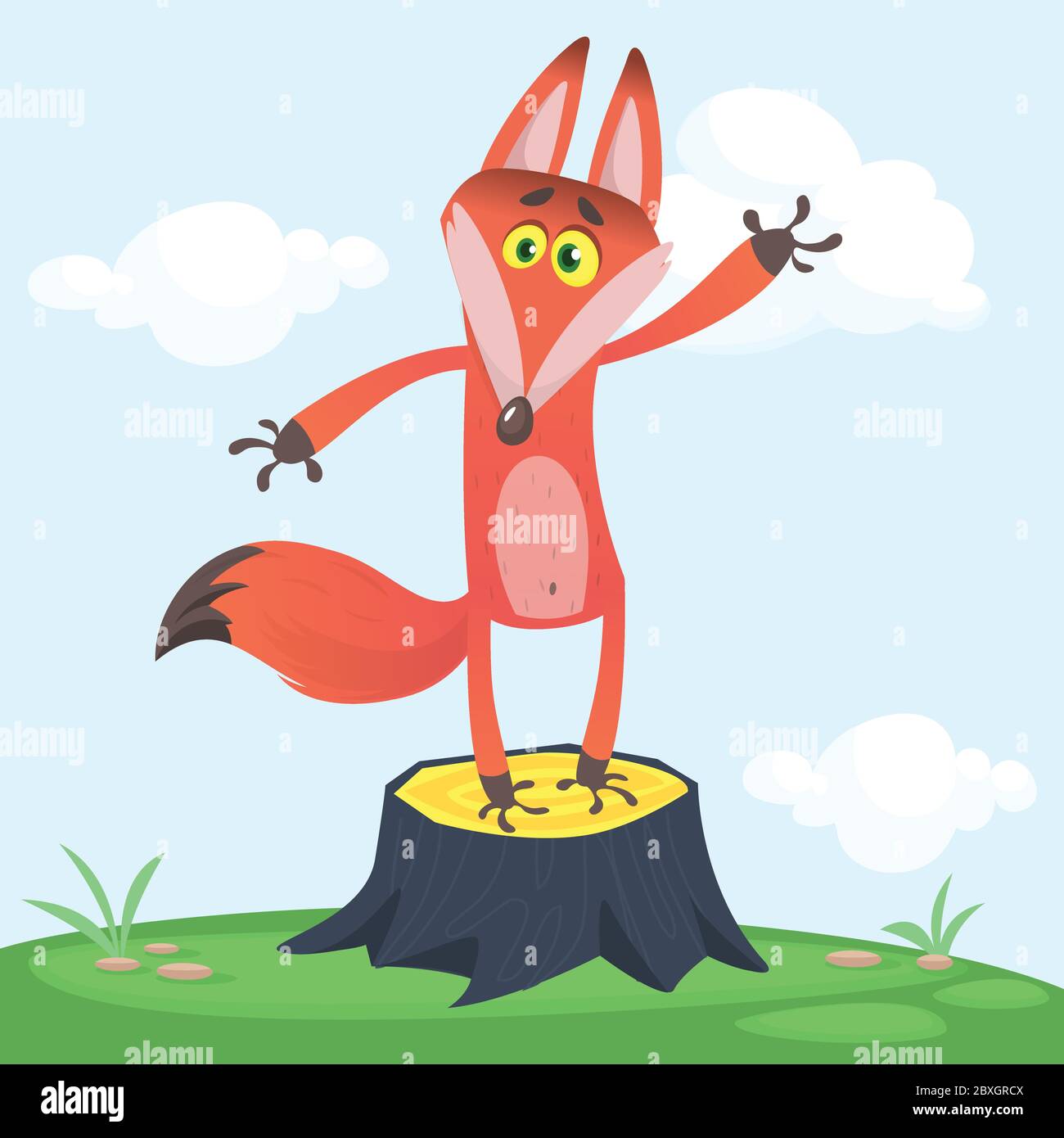 Big Red Fox tail angrily funny cartoon style stand upright at grass ...