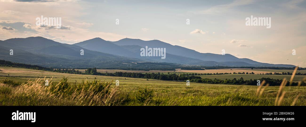 Delijovan hi-res stock photography and images - Alamy