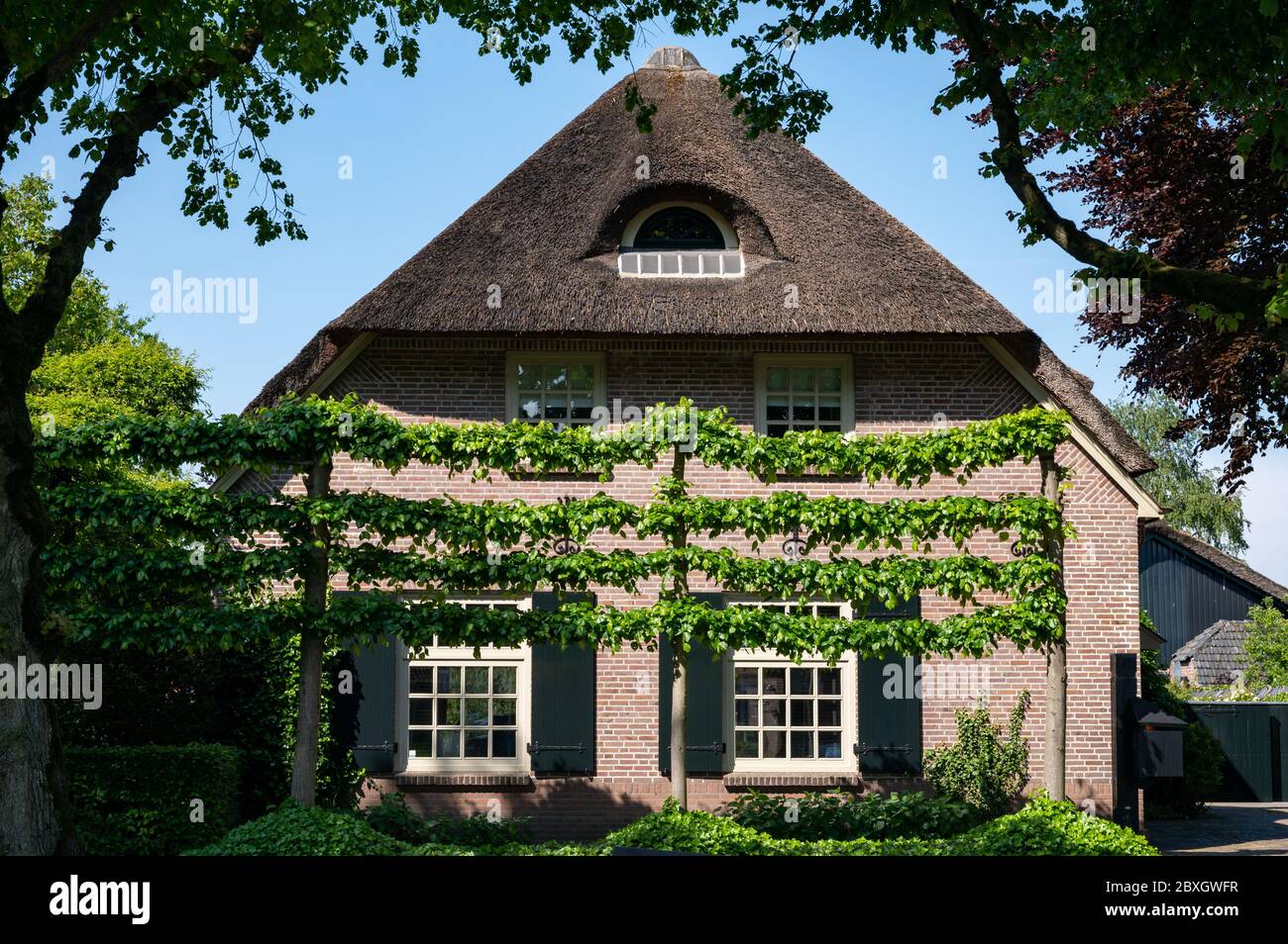 View on old Dutch house with thatched roof for one family in North ...