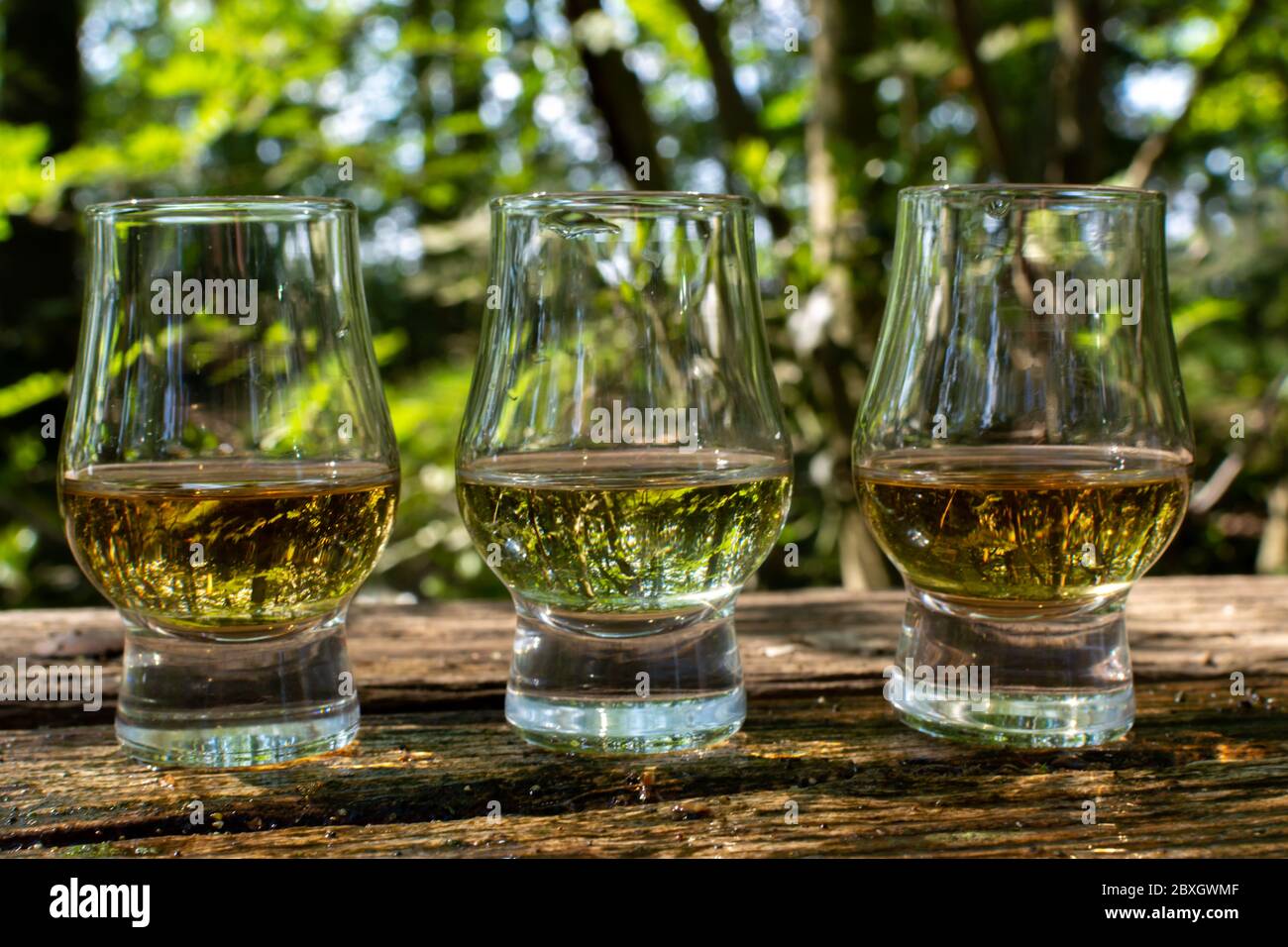 Tasting of different Scotch whiskies on outdoor terrace, dram of ...