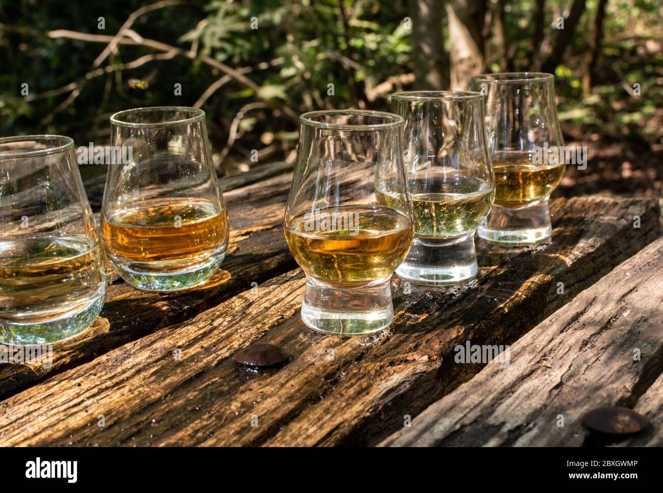Tasting of different Scotch whiskies on outdoor terrace, dram of ...