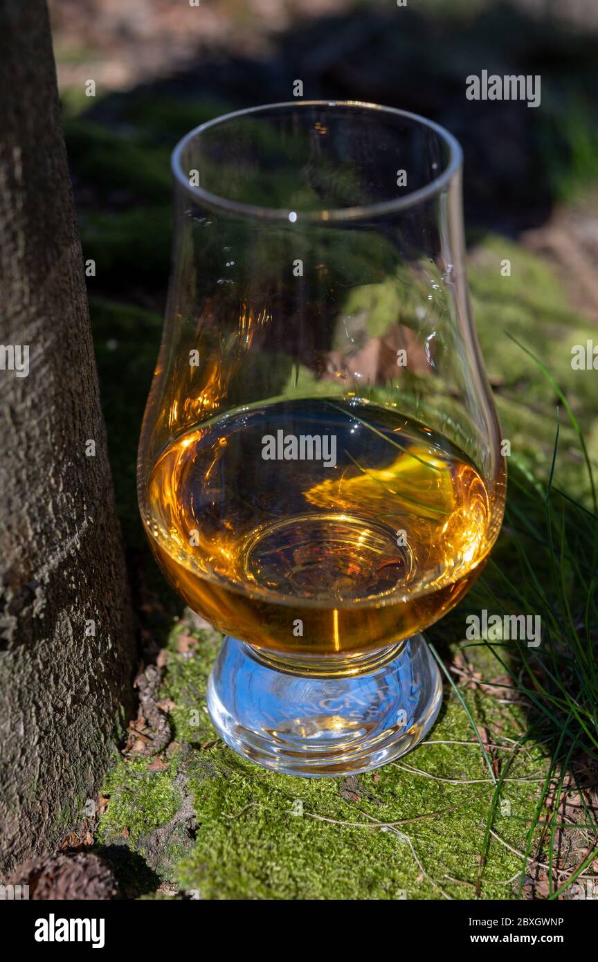 Tasting of scotch single malt whisky from Islay island, most intensely ...