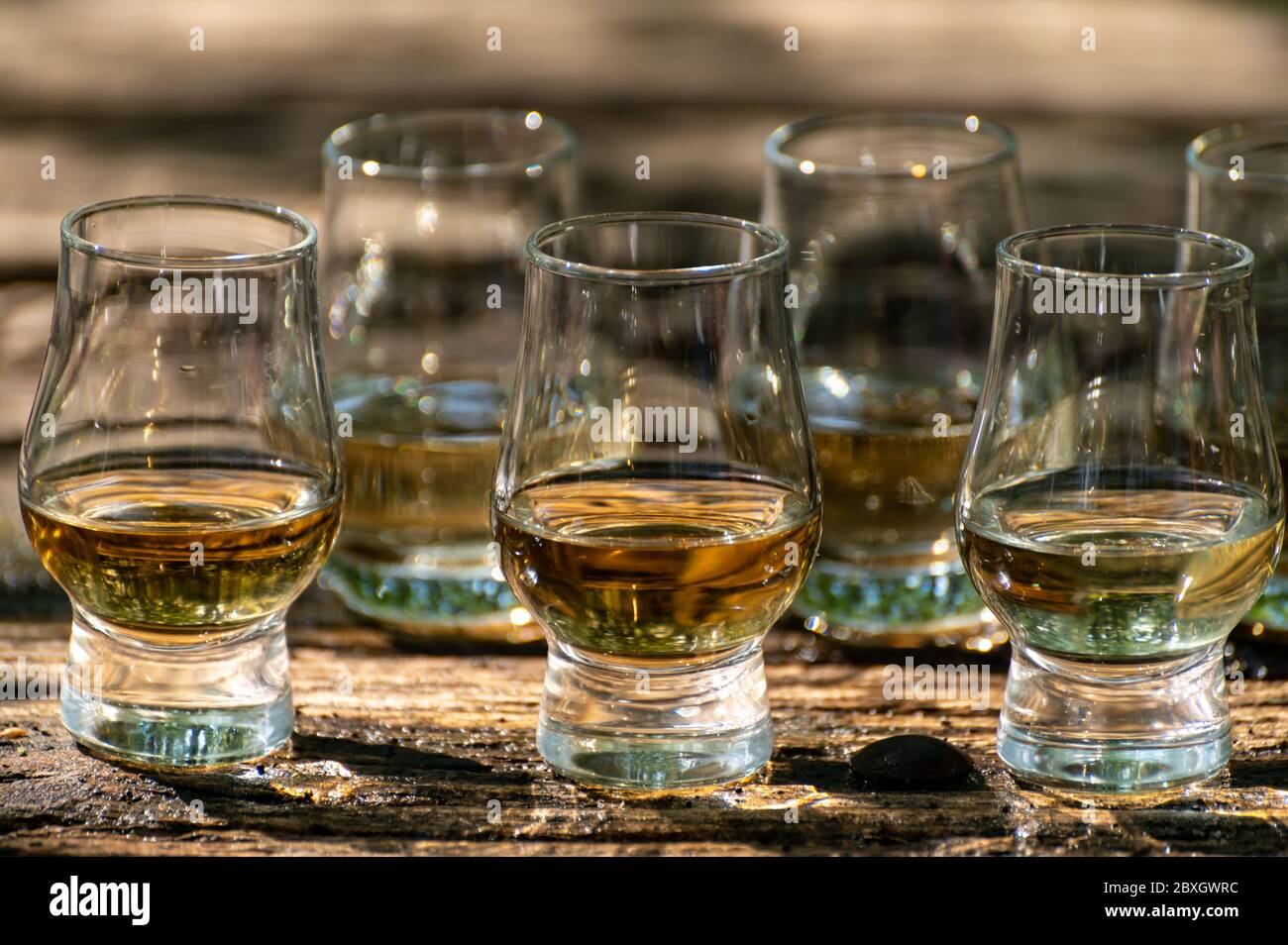 Tasting of different Scotch whiskies on outdoor terrace, dram of ...