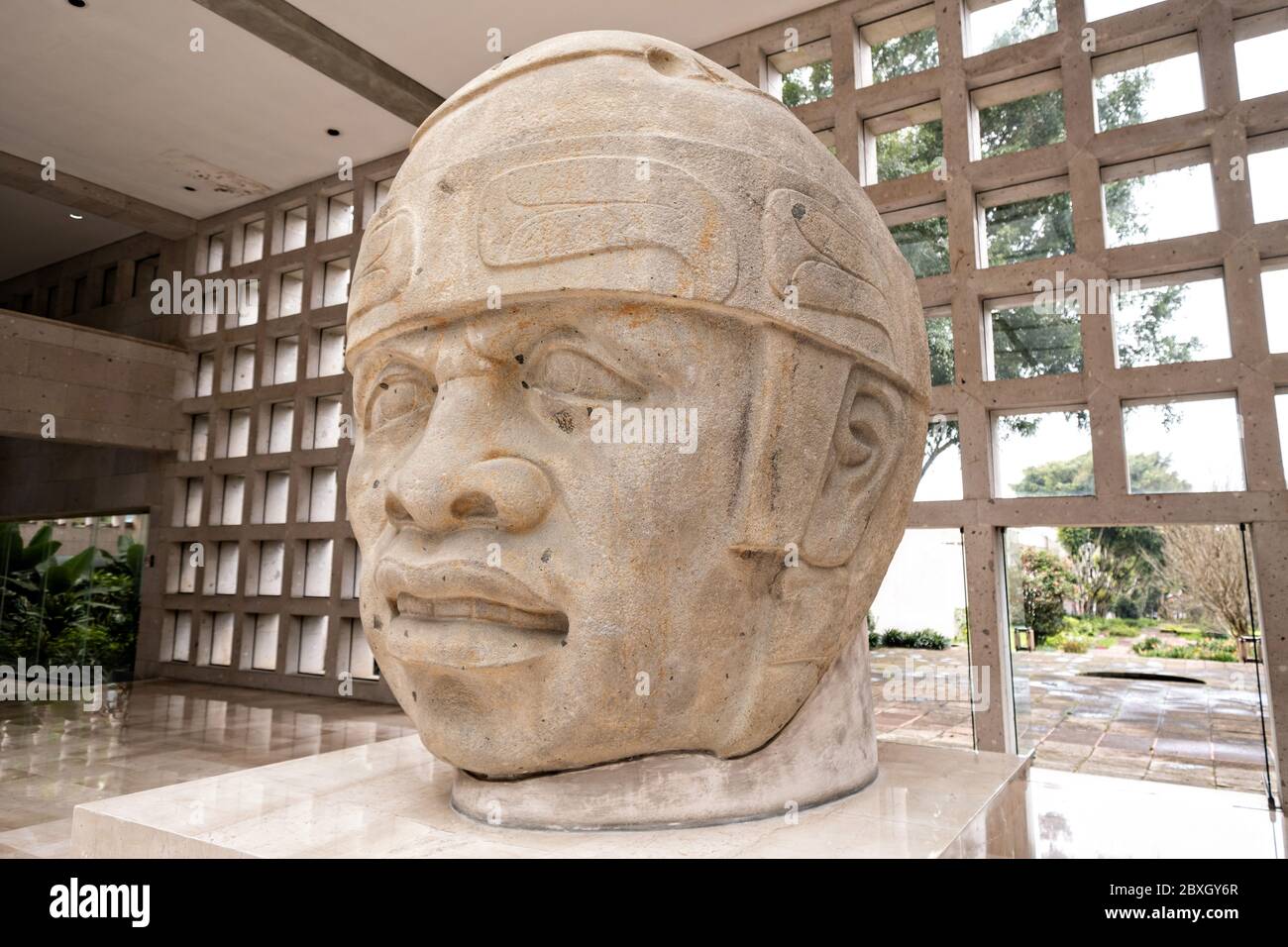 Colossal Olmec stone head on display at the Museum of Anthropology in ...