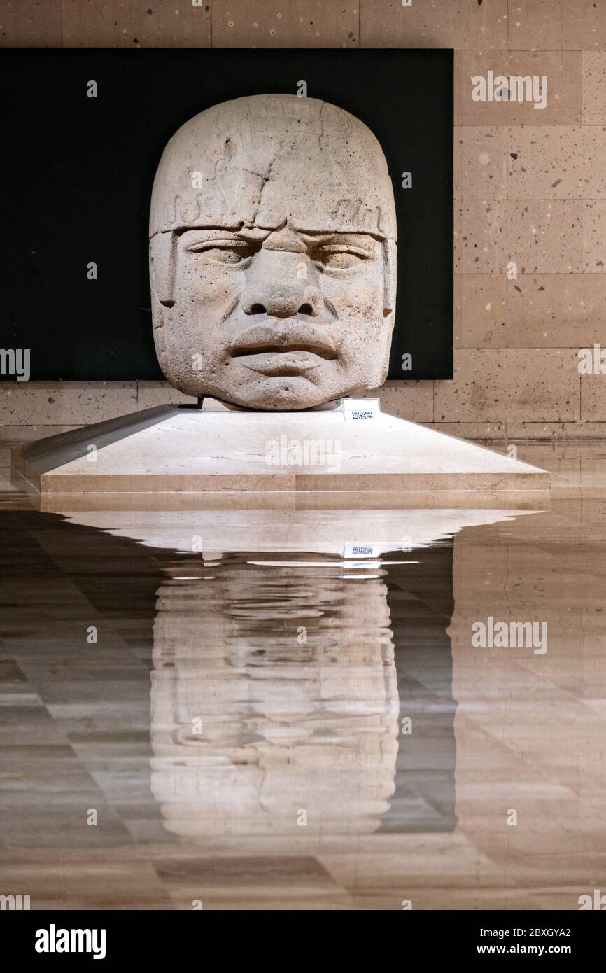 Colossal Olmec stone head on display at the Museum of Anthropology in ...