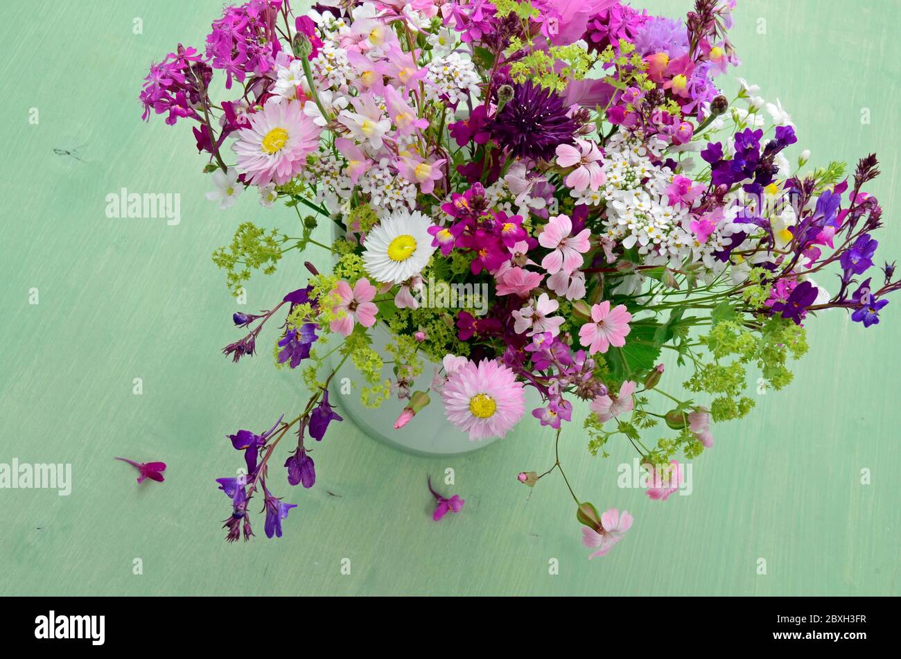 Bunch of different wildflowers Stock Photo - Alamy