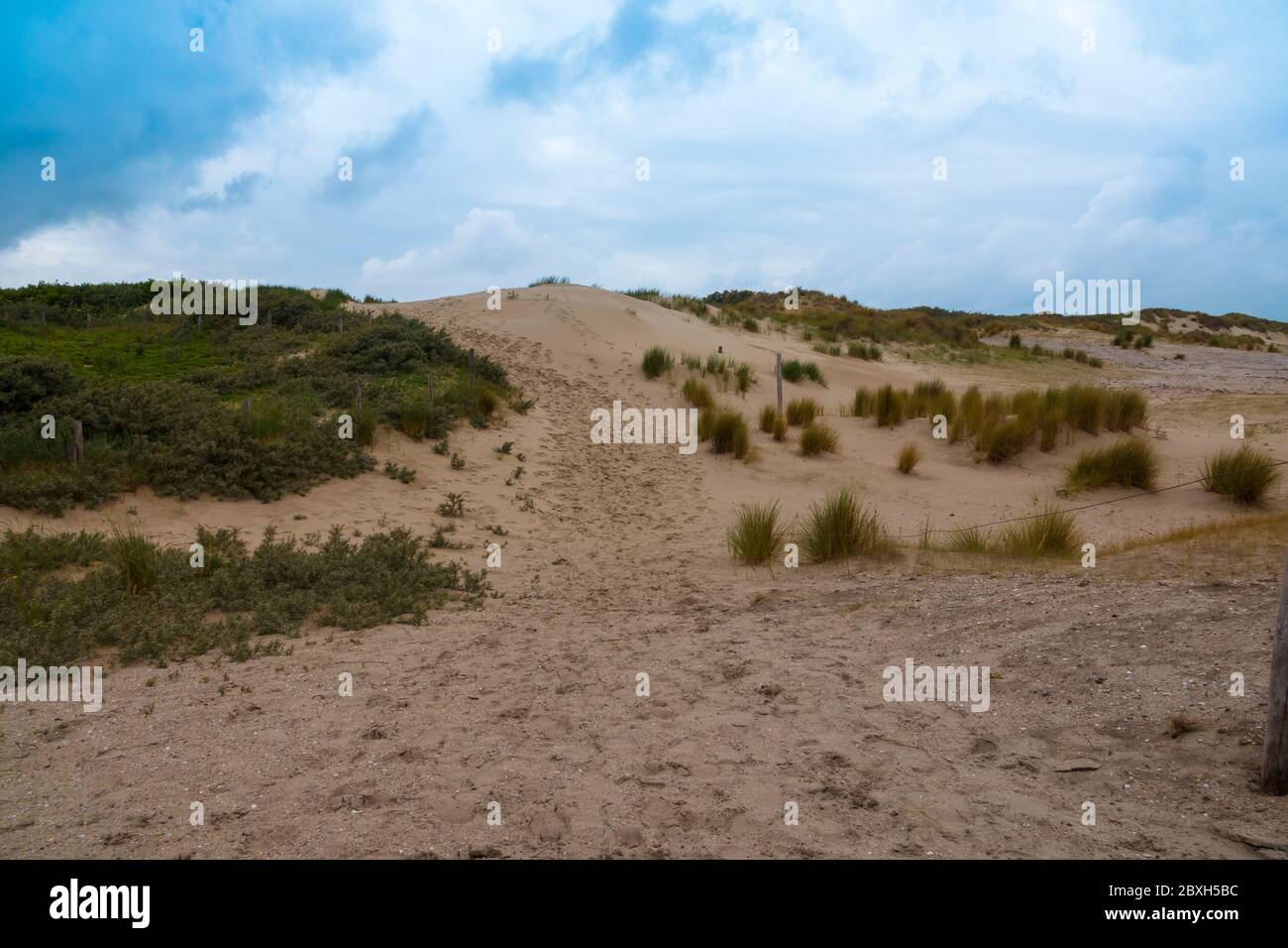 Sand dunes in the Holland desert with grass to protect against the wind ...