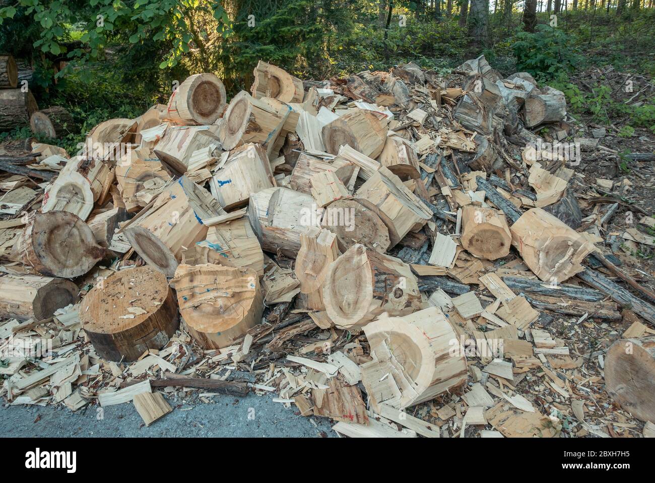 Pile Of Logs Small High Resolution Stock Photography and Images - Alamy