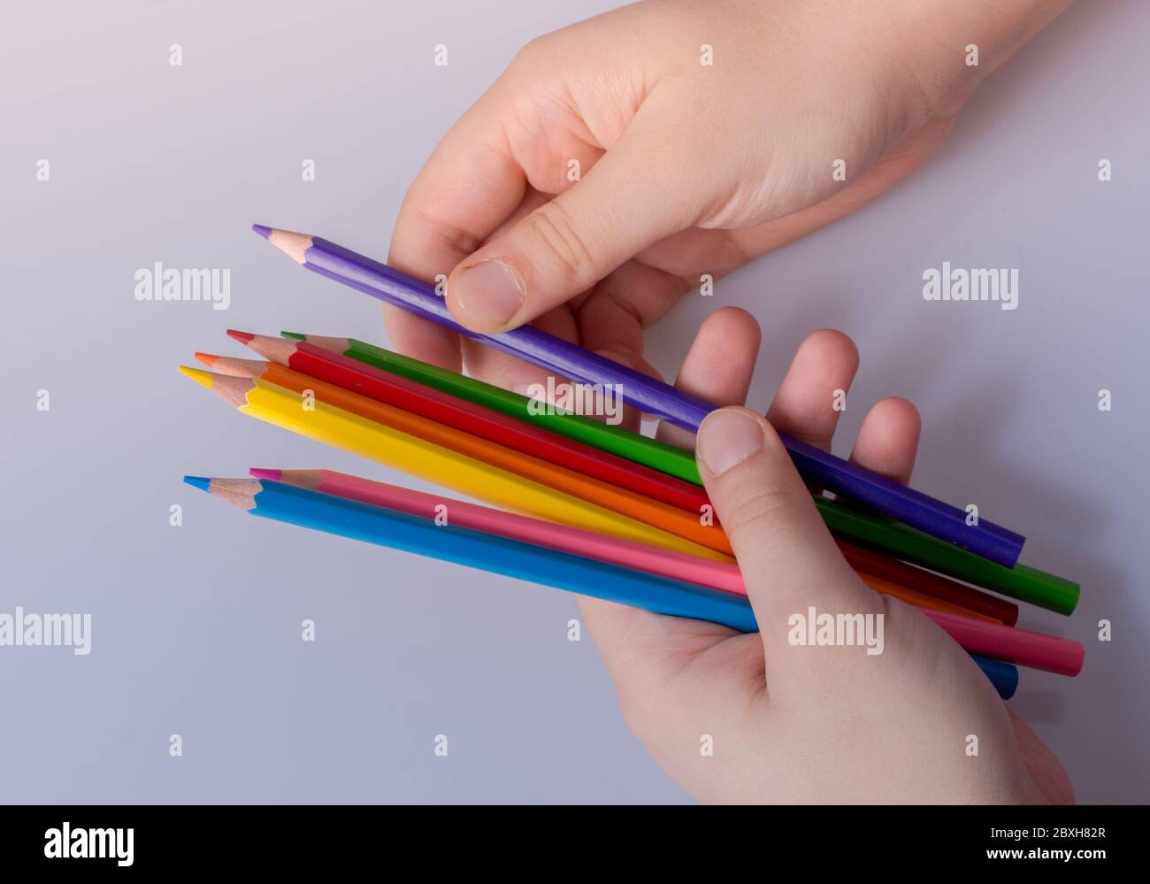 Hand holding color Pencils placed on a white background Stock Photo - Alamy