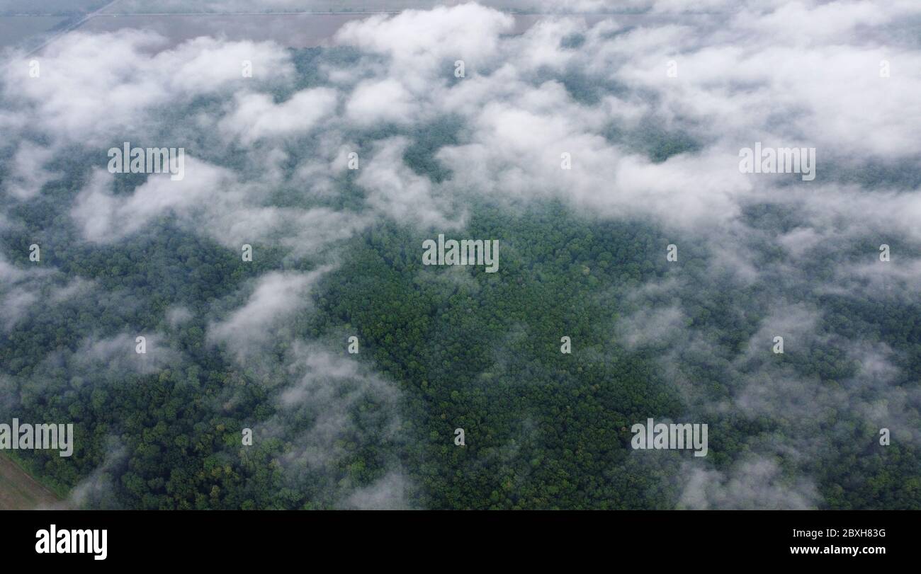 Clouds over the dense forest, morning mist rises over the forest Stock ...