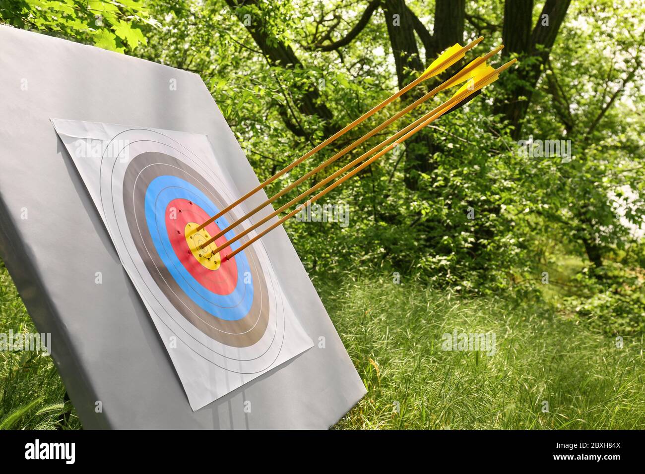 Target for archery with arrows in forest Stock Photo - Alamy