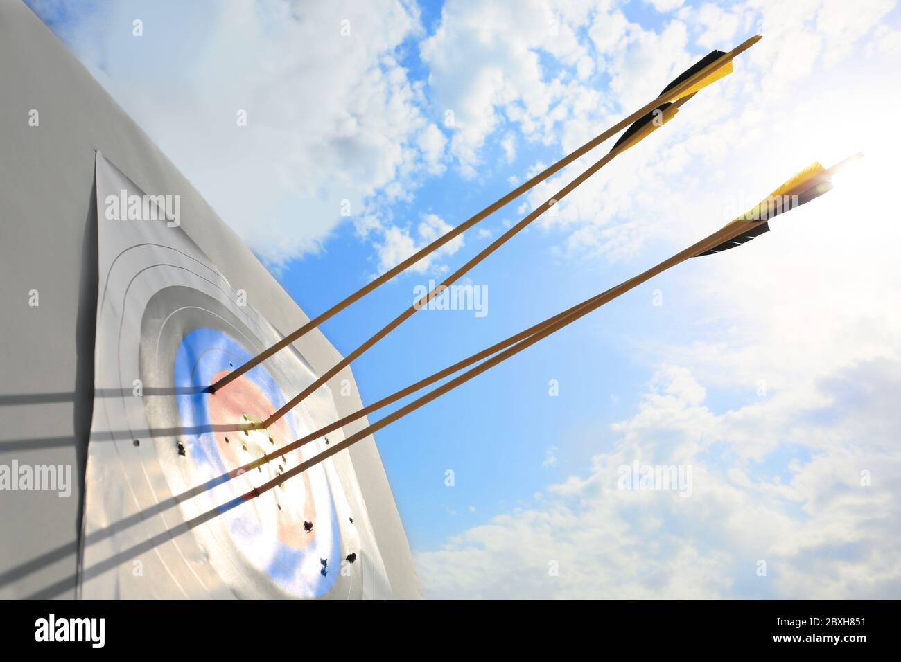 Target for archery with arrows outdoors Stock Photo - Alamy