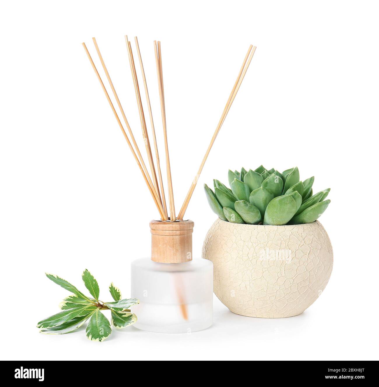 Reed diffuser and plants on white background Stock Photo - Alamy